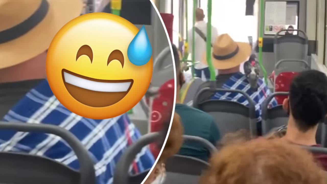 WATCH: VERY unusual commuter takes a ride on Maltese Tal-Linja bus