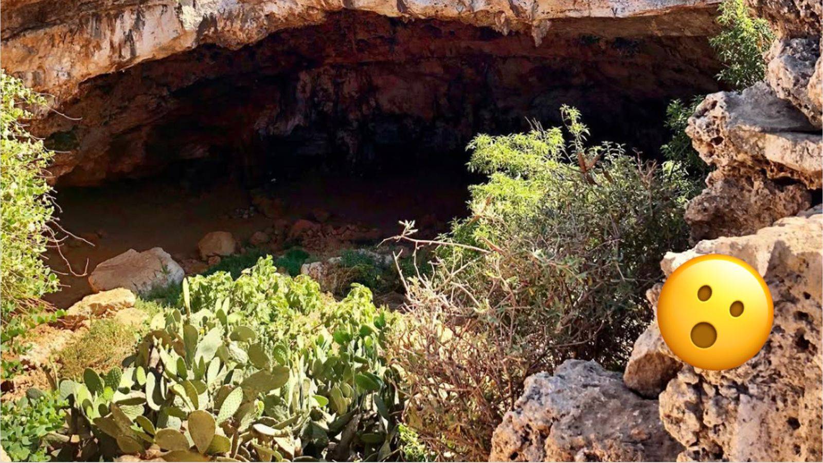 Groundbreaking! New discovery reveals Malta was reached by hunter ...