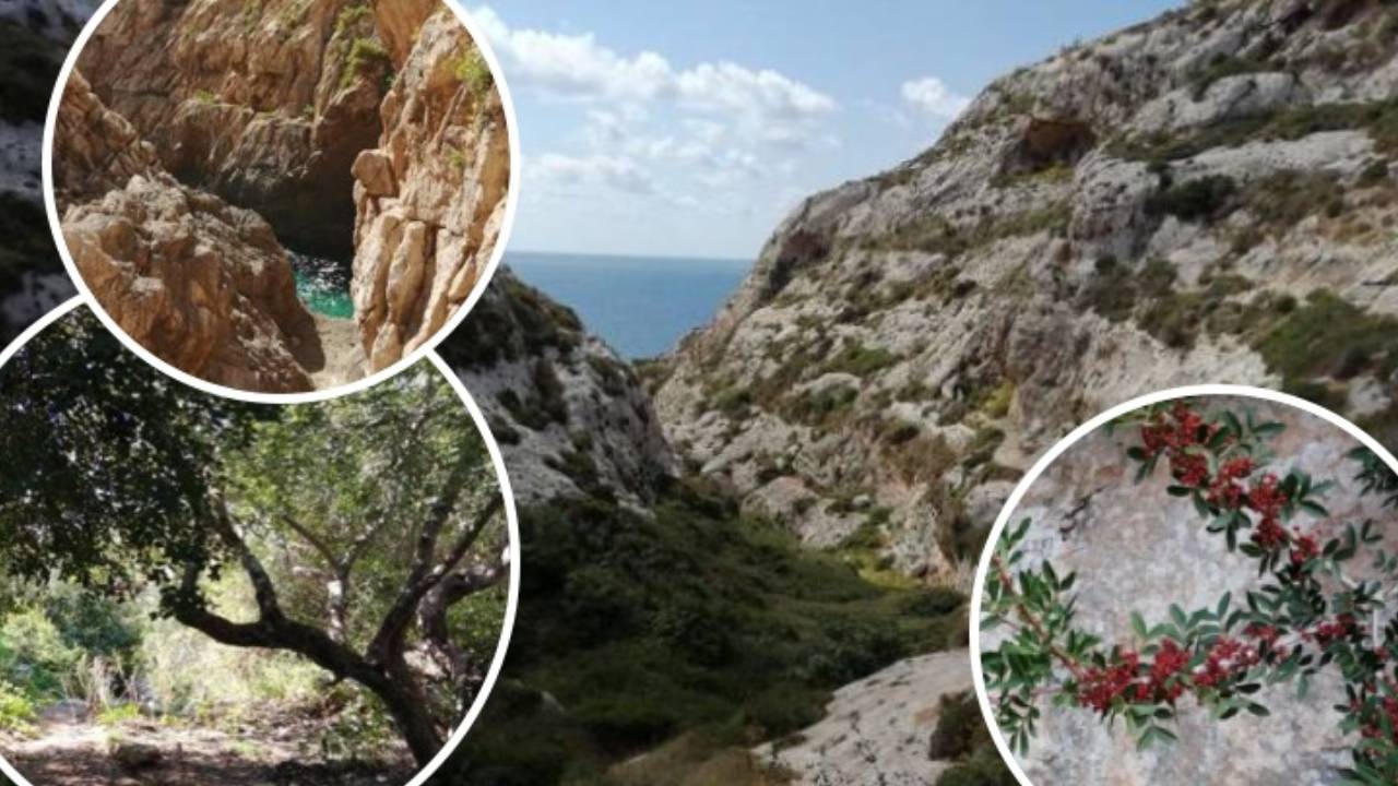 IN PICTURES: A walk through one of Malta's lushest valleys, Wied Babu