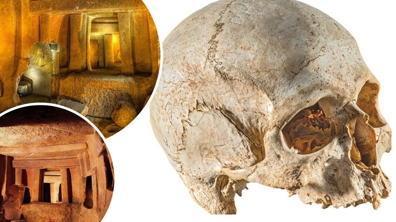 Could new research on Hal Saflieni’s strange skulls crack one of Malta ...