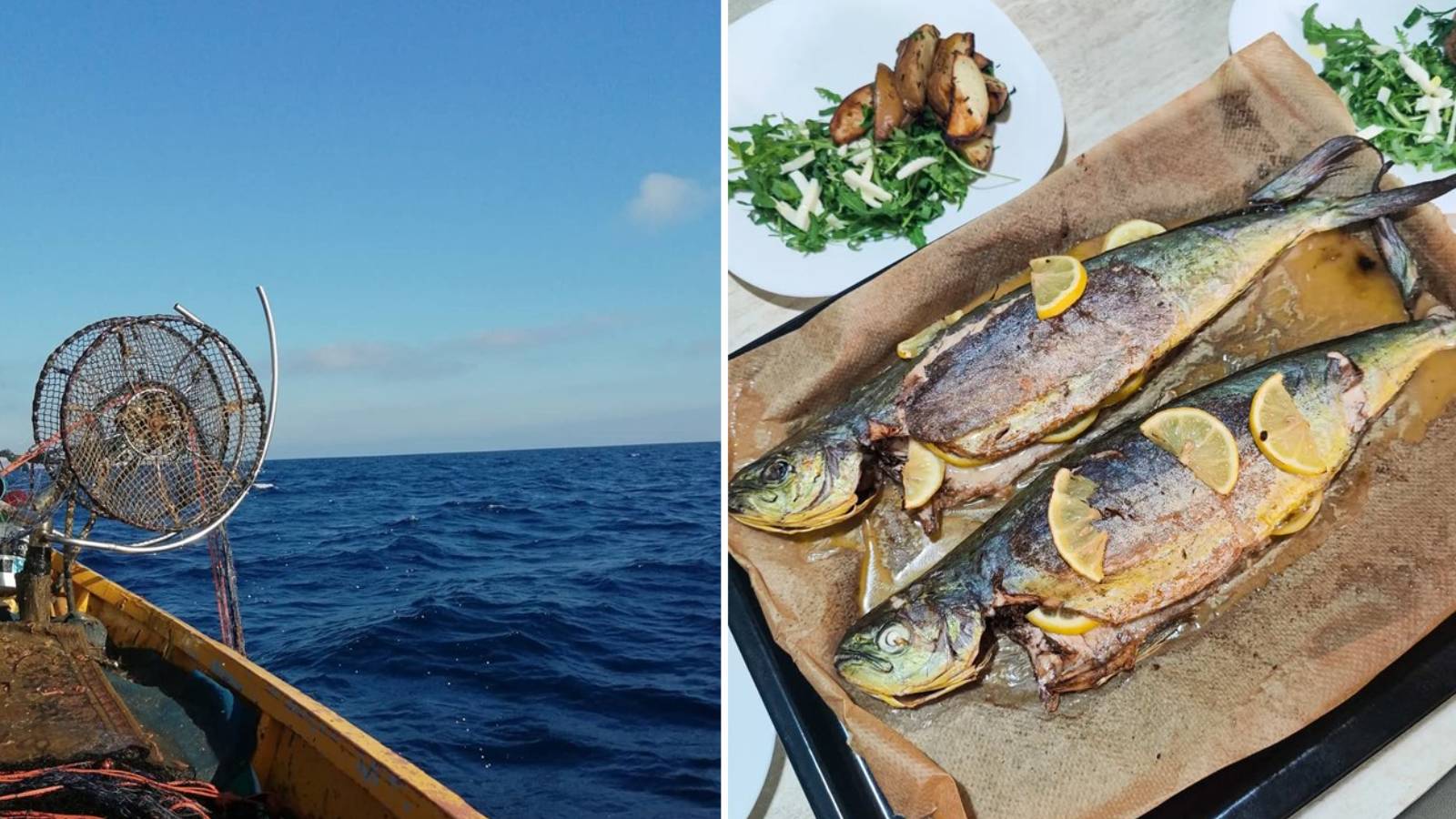 Malta’s favourite fish? Line-caught lampuki on the rise as traditional ...
