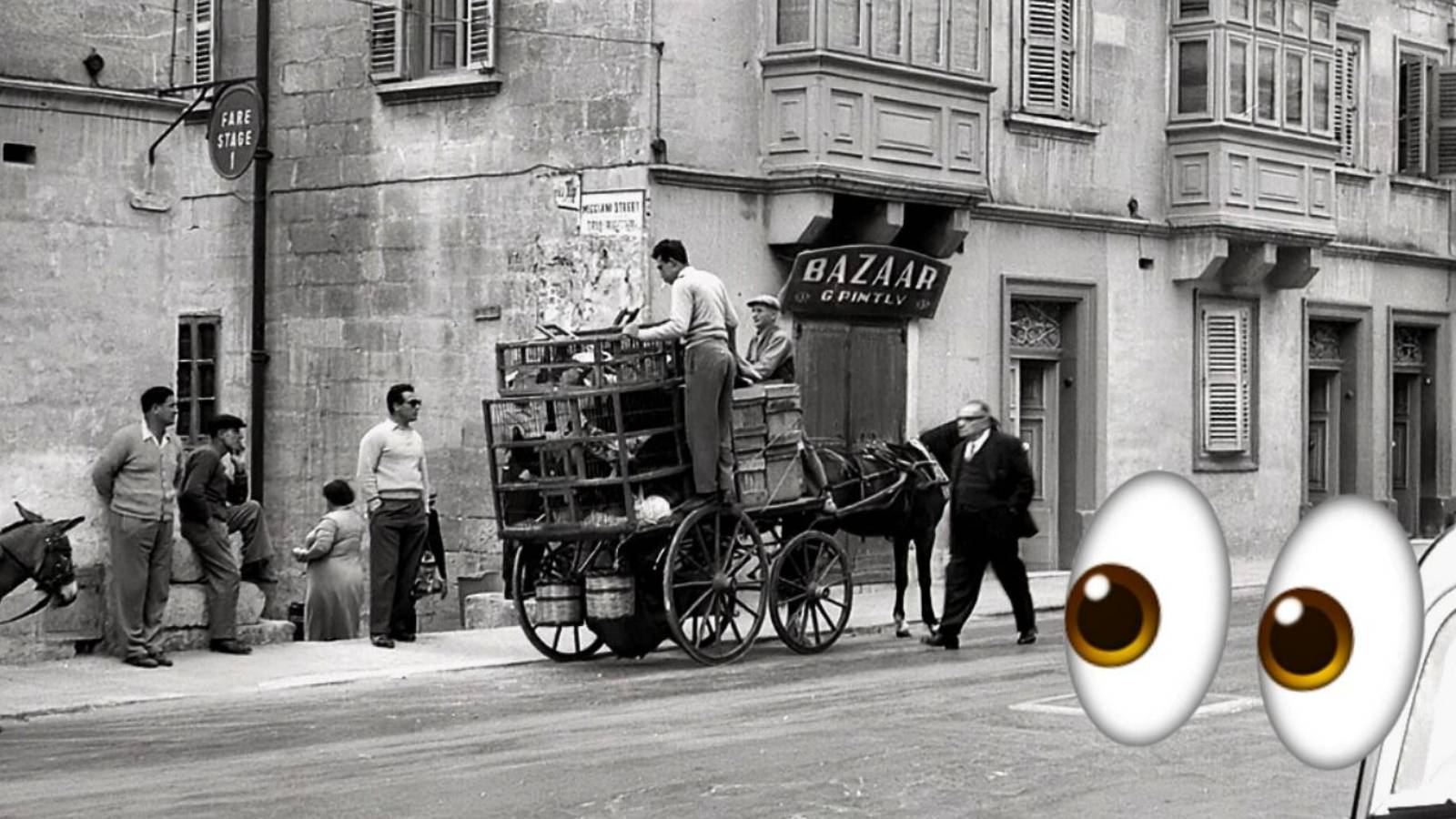 66-year-old photo shows fresh meat vendor going round Hamrun in horse ...