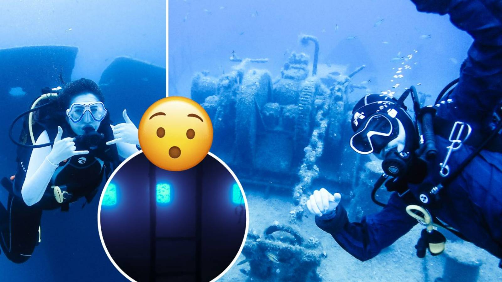 'Enveloped in a sense of serenity and tranquillity' - Local Diver ...