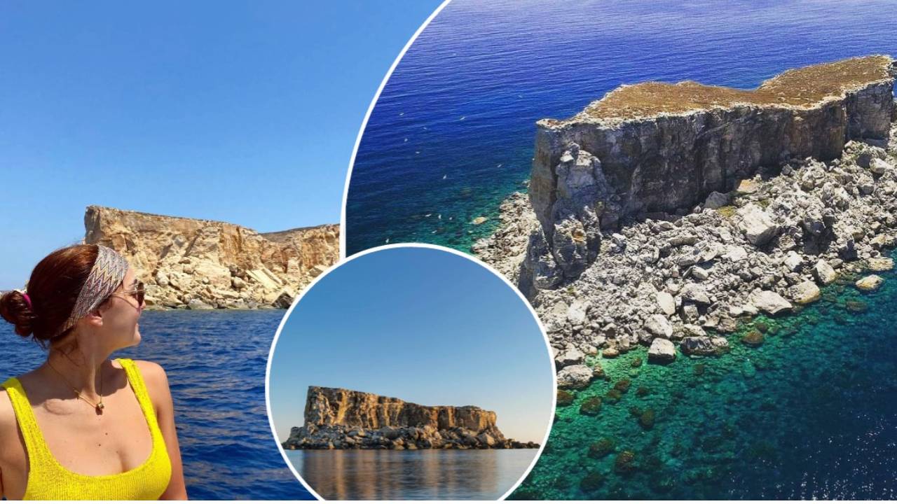 Curious about FILFLA? Here’s your chance to get as close as possible!