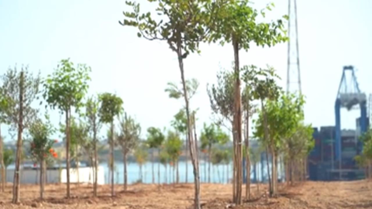 First phase complete! 2,200 new trees planted at Birzebbuga family park