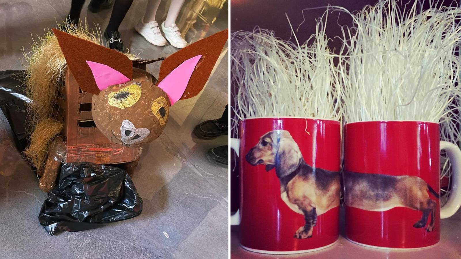 Where did gulbiena come from? The story behind Malta’s curious ...