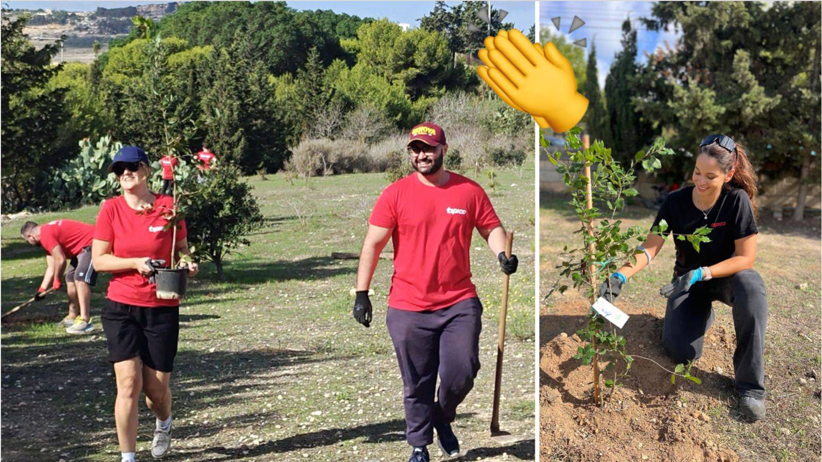 Well done! Coast is Clear plants 957 indigenous trees across Malta ...