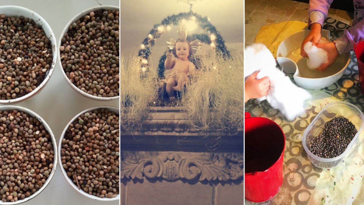 Where did gulbiena come from? The story behind Malta’s curious ...