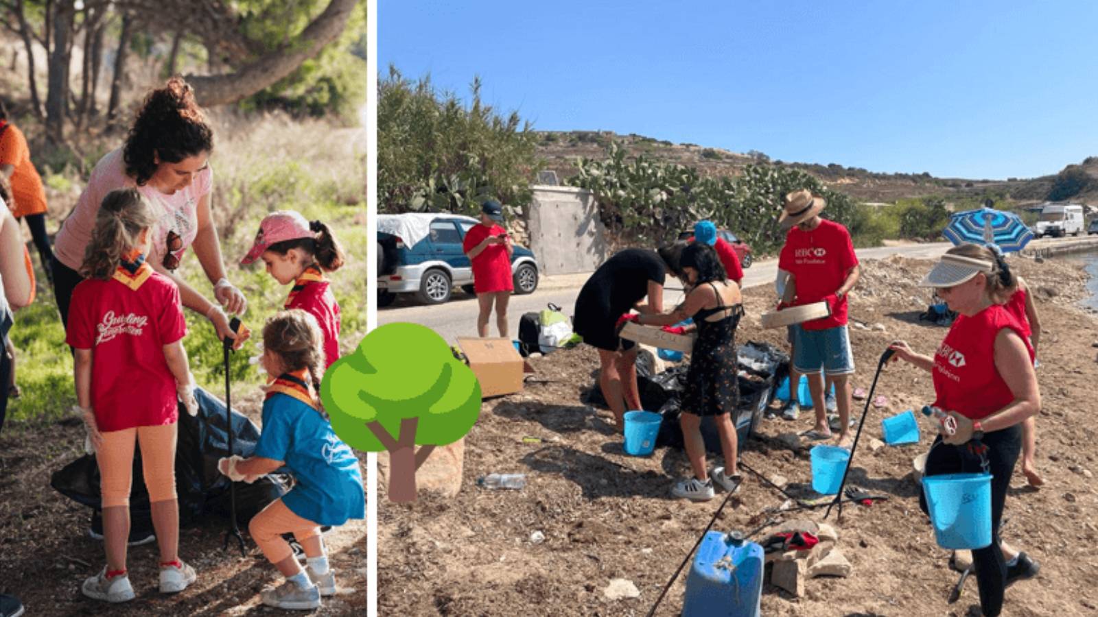 A breath of fresh air! 4,000 trees to be planted in Malta thanks to the ...