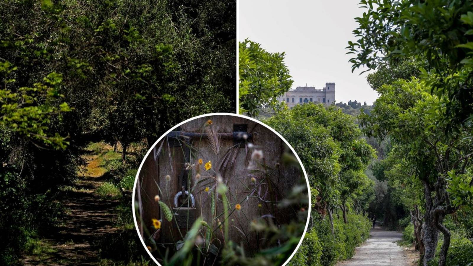 Beautiful! Maltese explorer shows off Buskett’s lesser-known areas