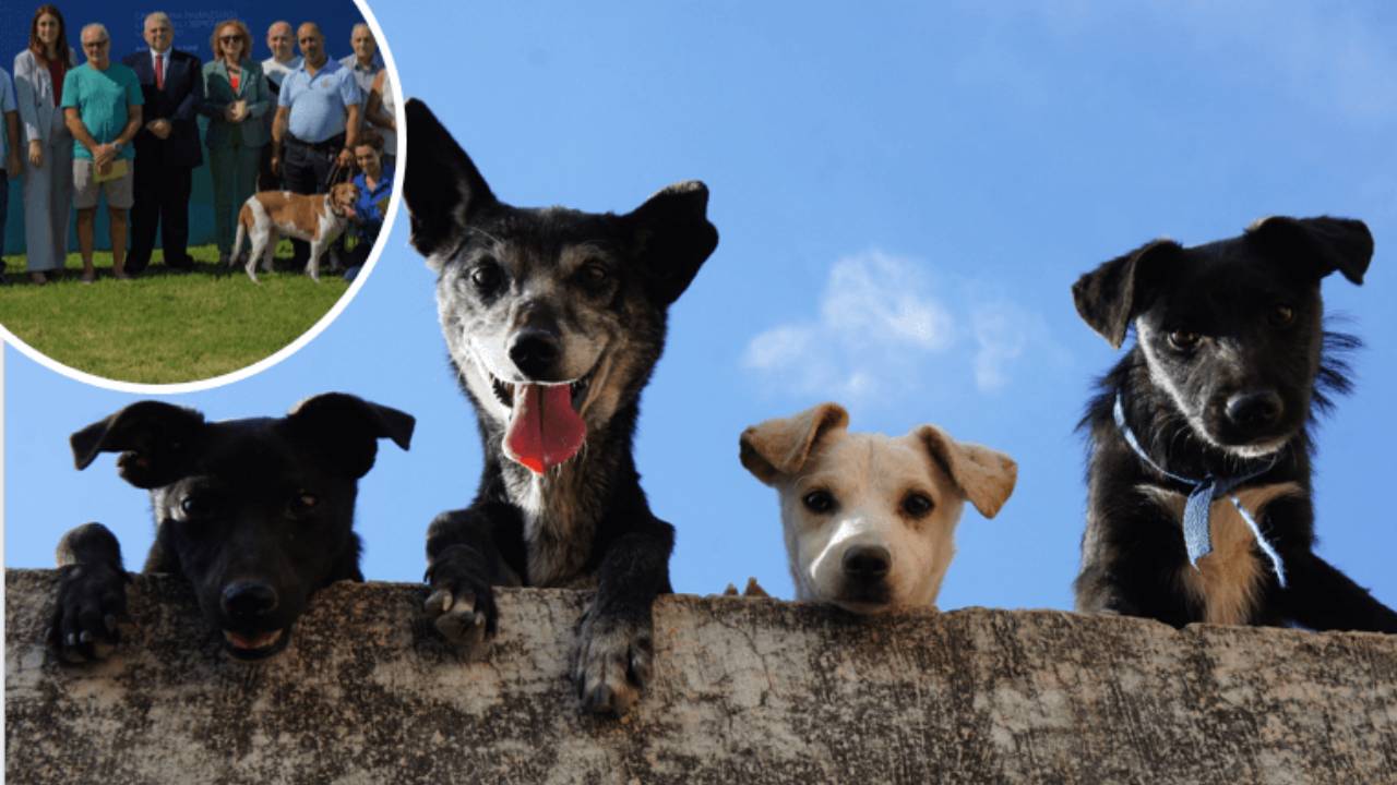 Malta’s animal sanctuaries awarded grant worth over €100k