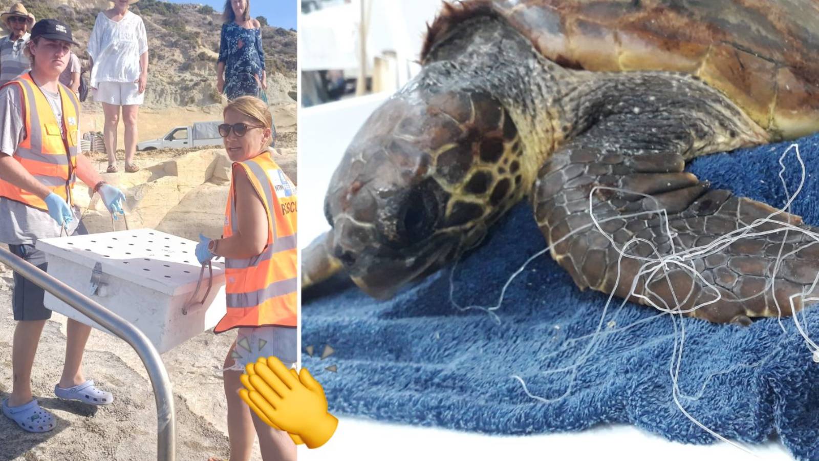 What a save! Snorkeller in Malta rescues distressed Turtle in ...