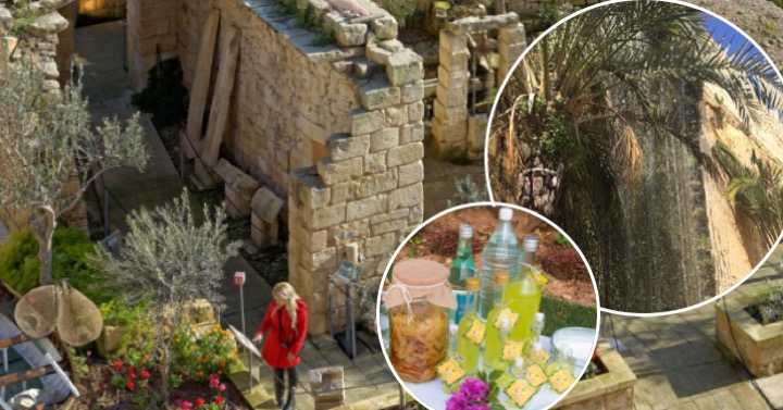 Discover Malta’s honeycombed stone: Limestone Heritage is a diamond in ...