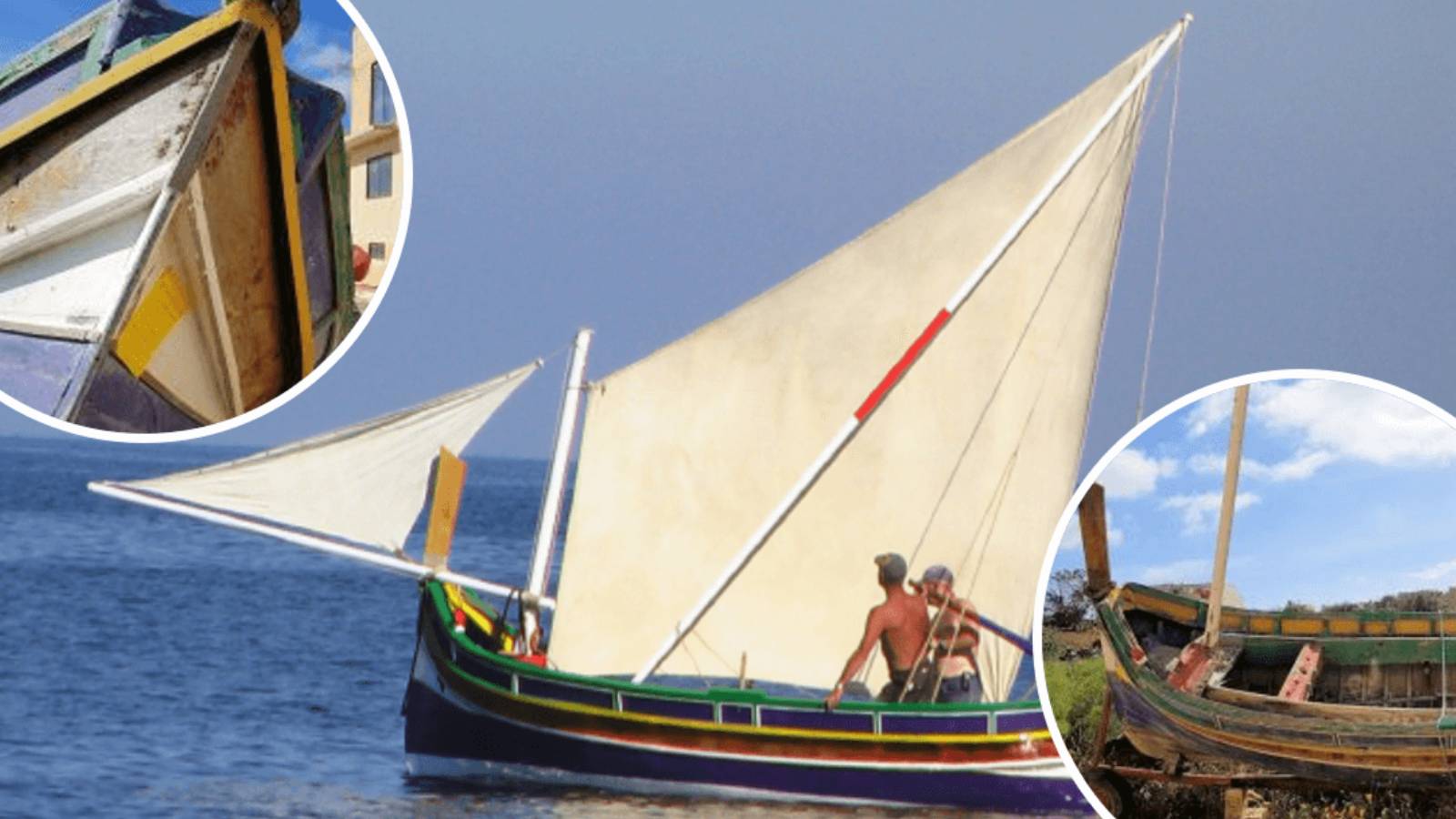 Saving the nearly extinct firilla! Local NGO aiming to bring back life ...