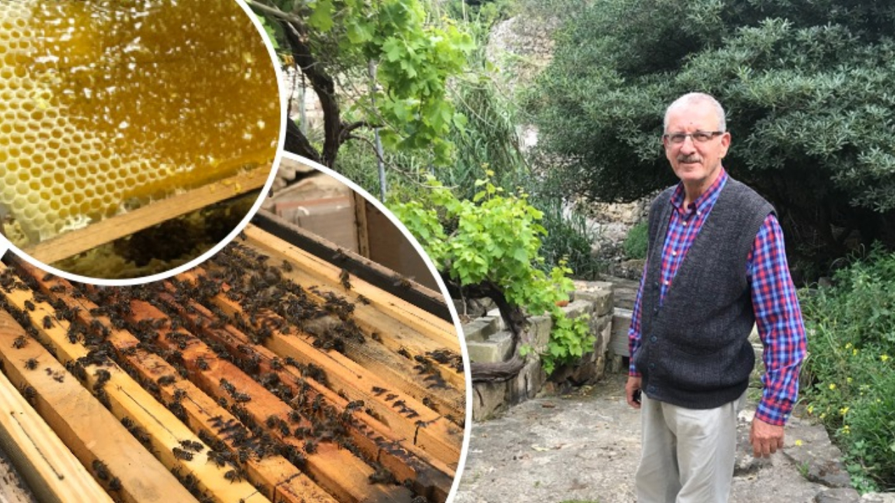 A sweet legacy! Meet the local beekeeper with a family tradition dating ...