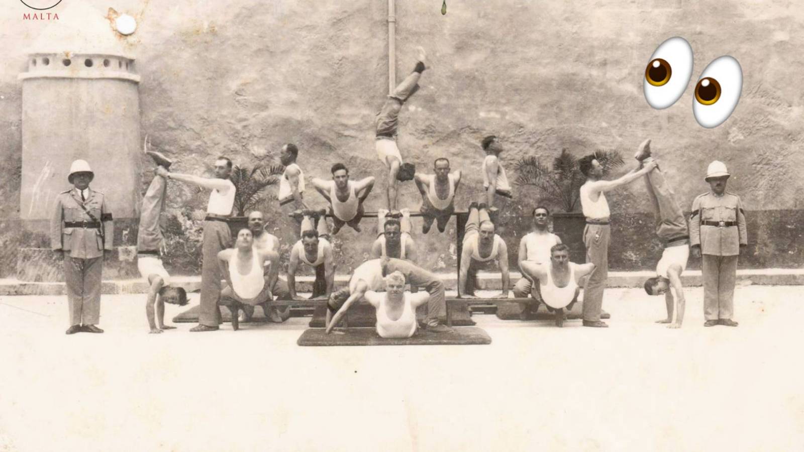 Peering into the past! Check out this vintage snapshot of Maltese ...