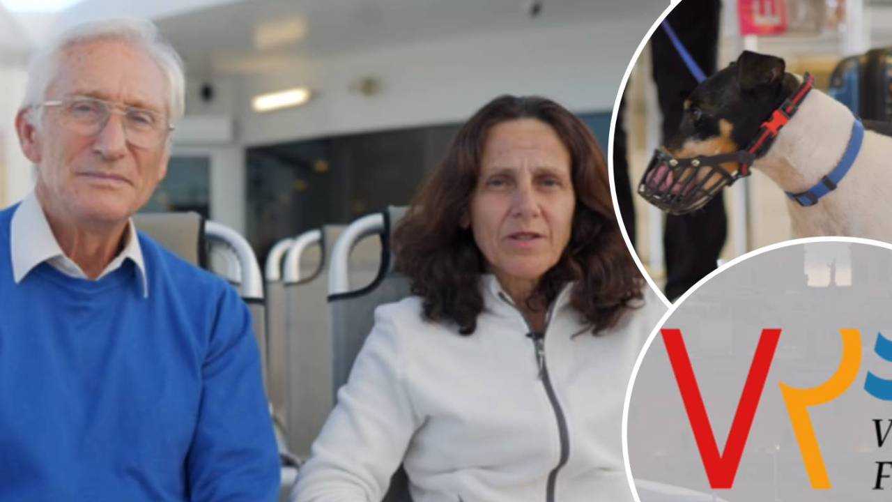 Meet Jeff & Theresa: the local couple who have saved nearly 800 ...