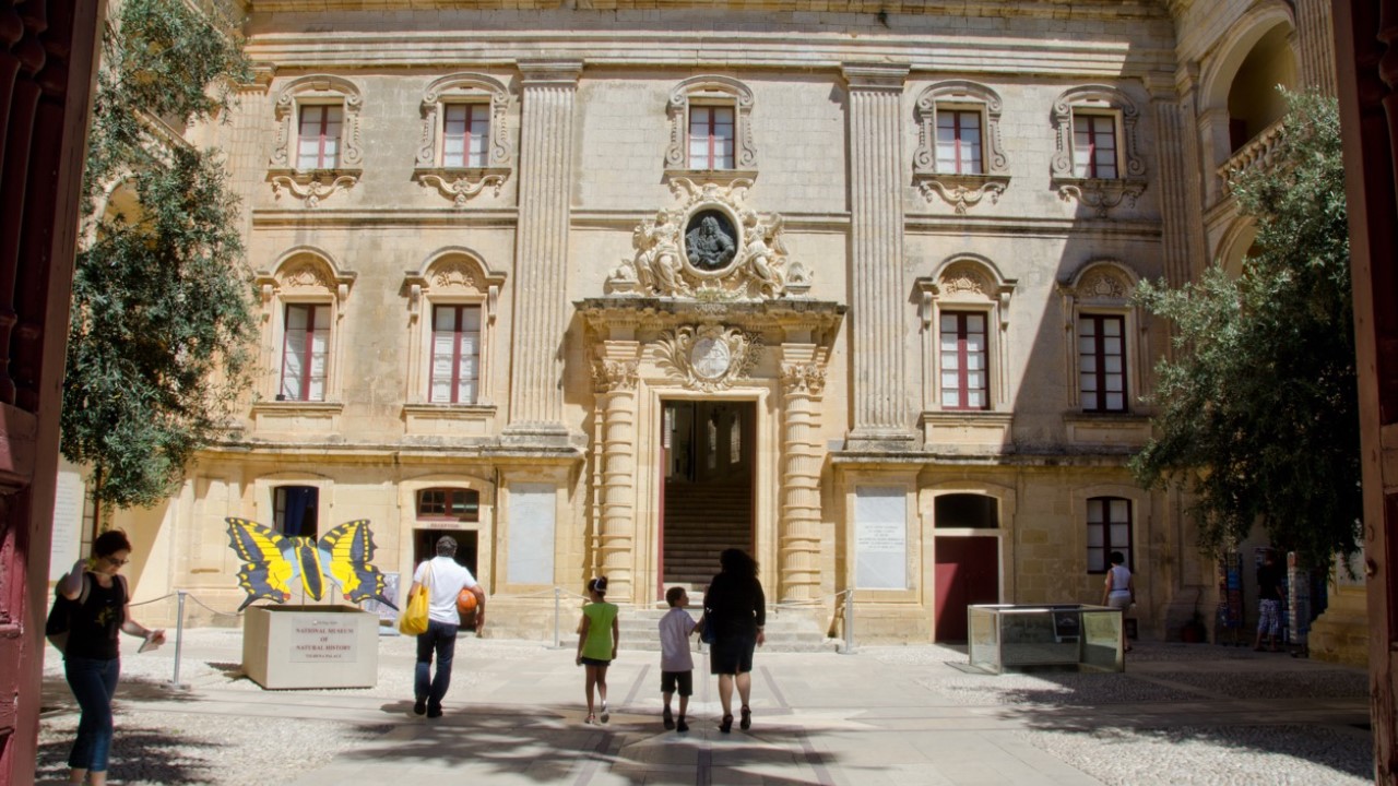 Celebrate International Museum Day with special museum openings & free ...