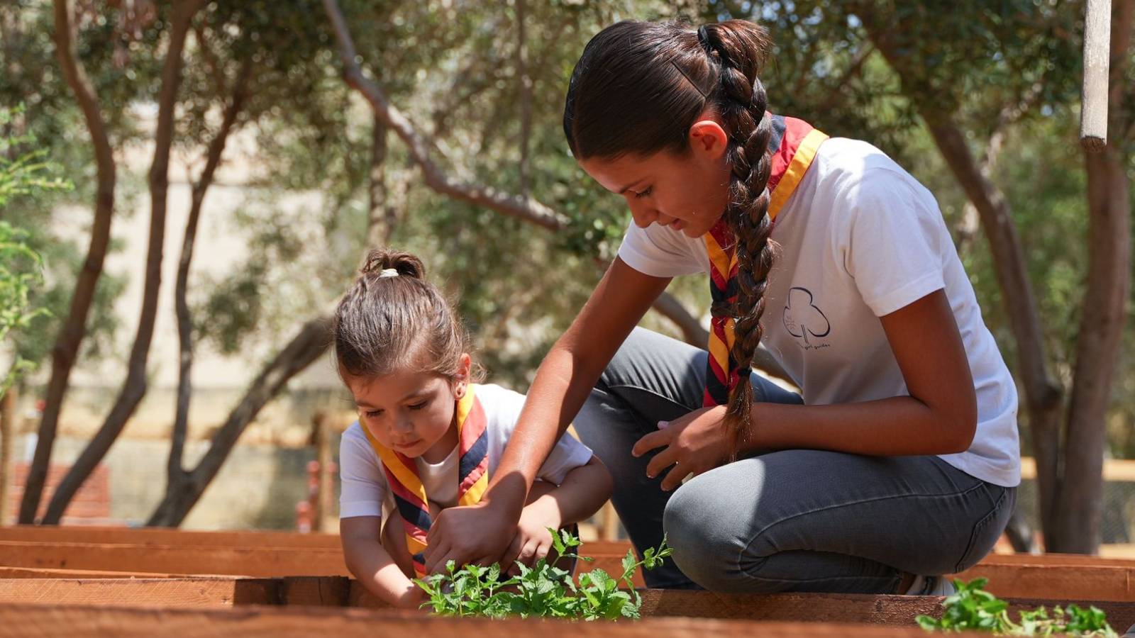 Greening our communities! Project Green aims to bring more open spaces ...