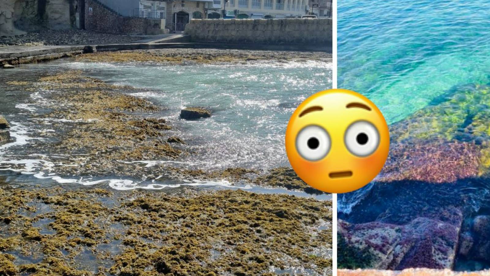 Sea levels in Malta and Gozo are lower than usual right now… here’s why!