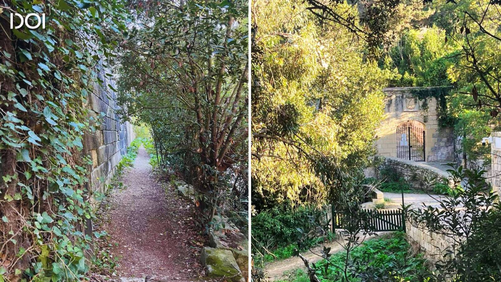 Malta’s woodland oasis! Discover the tranquility and natural beauty of ...