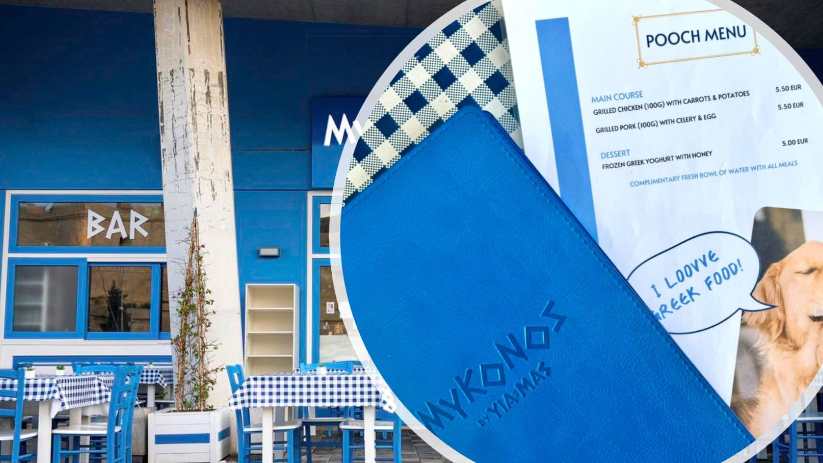 A tail-wagging dining experience! Greek restaurant in Malta introduces ...