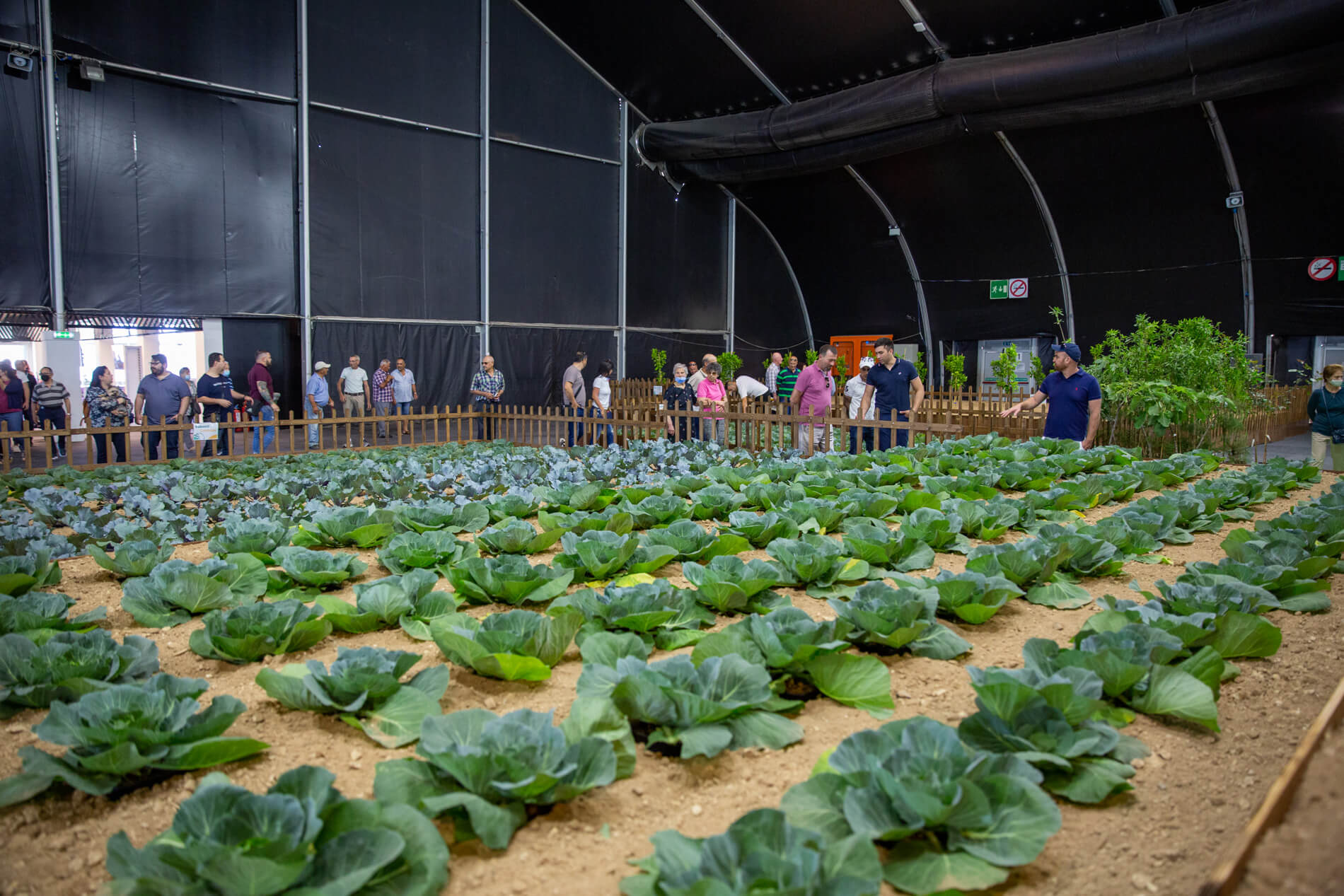 Exploring Malta’s agriculture! Second edition of AgriFair announced