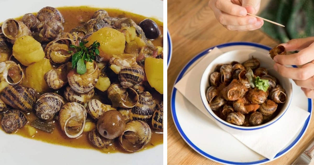 It’s raining snails! Here’s your pot of gold at the end of the rainbow
