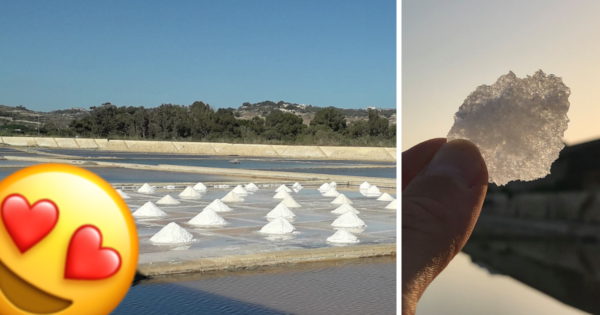 Salina’s back! Malta’s largest man-made salt pans are producing salt ...