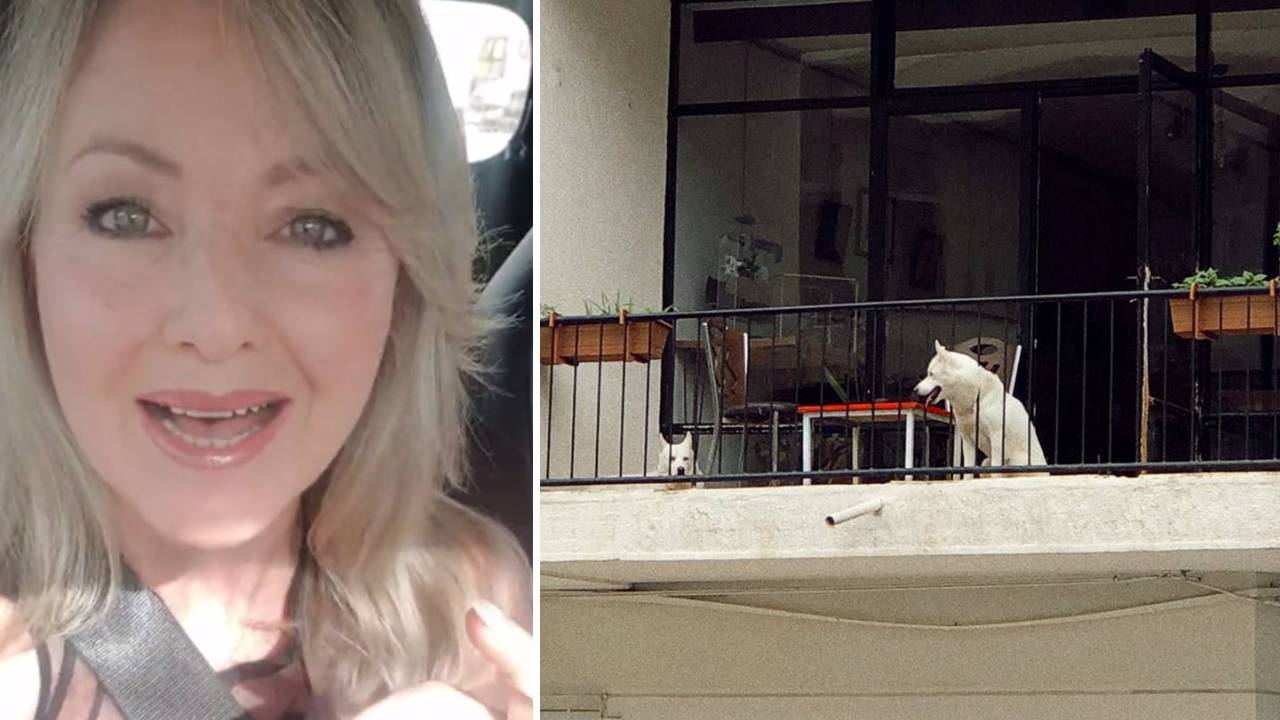 WATCH: Moira Delia condemns leaving animals out in the sun in this ...