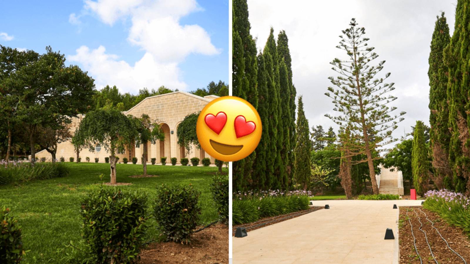 Oh so green! The regenaration at Malta’s Ta’ Qali National Park ...