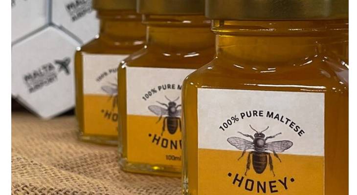 It’s World Bee Day! Here’s how the 750,000 bees at MIA’s apiaries help ...