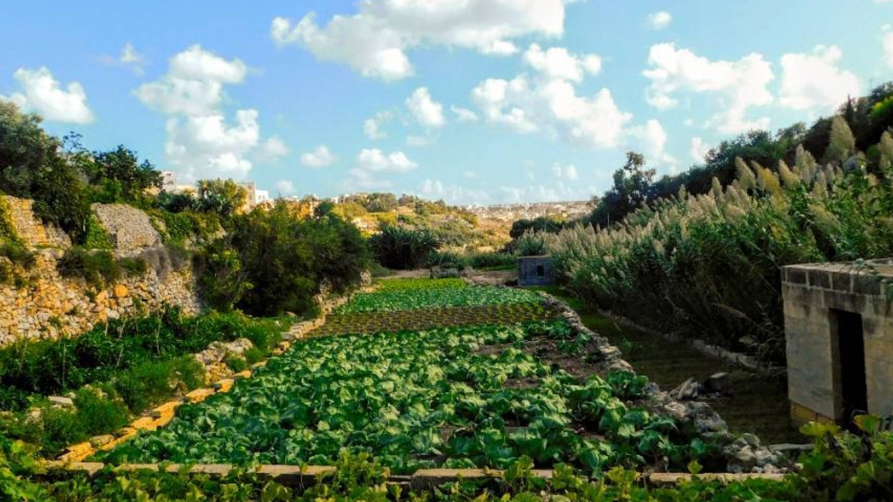 Lunzjata Valley: discover Gozo's little-known rural haven